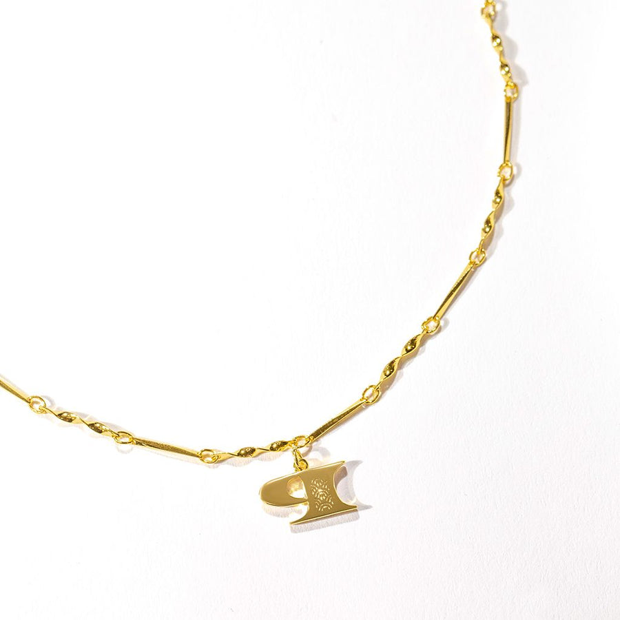 P Gold Initial Necklace • Letter P Pendant • Fortune & Frame